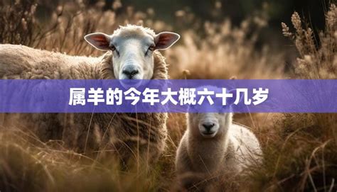 属羊的今年大概六十几岁如何应对人生中的转折点