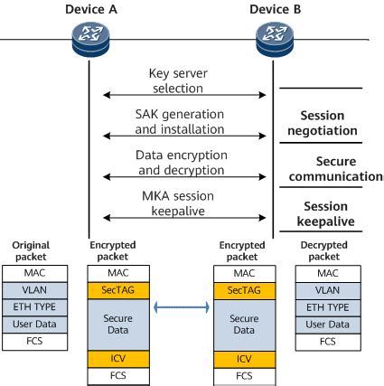 MACsec Fundamentals
