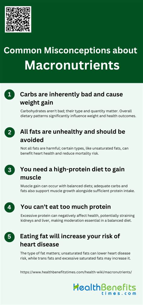 What Is Macronutrients Definition Importance And Food Sources