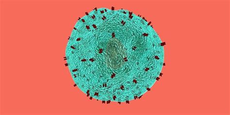 Esclerodiario Empp Emsp Estas Son Las Posibles Causas De La