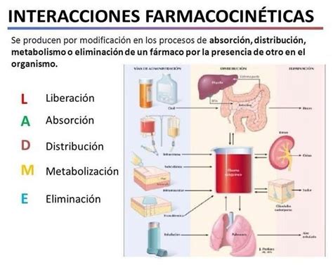 Pin De Rosalva Hinojosa Silva En Enfermeria Farmacologia Anatomía