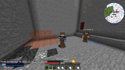 116 Visual Bug Tools And Armor · Issue 1694 · Draconic Incdraconic