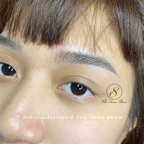 คิ้วสวย สักคิ้วลายเส้นธรรมชาติ The Swan Brow
