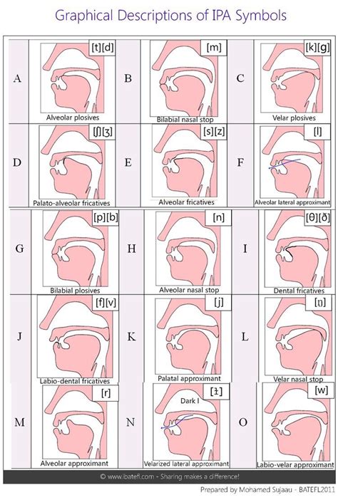 Hair International Phonetic Alphabet International Phonetic Alphabet