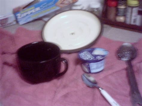 Notarealchef Yogurt Experiment