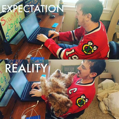 Expectations Vs Reality Work