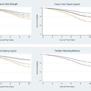 Cox Survival Curves Age And Sex Adjusted Download Scientific Diagram