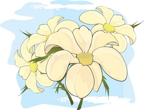 Bouquet Of Chamomiles Stock Vector Illustration Of Petal 25675483