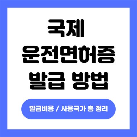 2025년 국제 운전면허증 발급 방법 총정리 발급 비용 사용 국가 주의사항