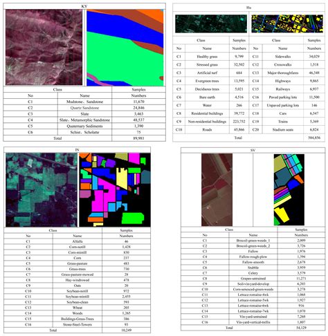 remote sensing free full text hyperspectral image classification