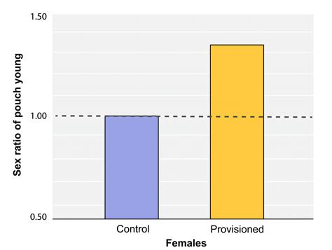 Testing Trivers Willard In Opossums The Evolution And Biology Of Sex