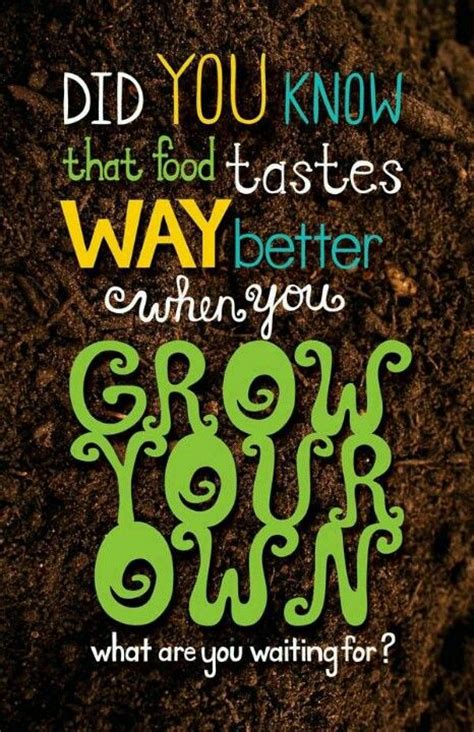 Vegetable Garden Quotes Quotesgram