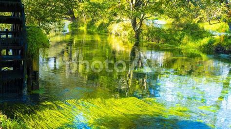 大王わさび農場 清流と水車のある風景 No 25080637｜写真素材なら「写真ac」無料（フリー）ダウンロードok