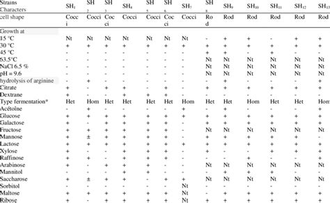 Phenotype Characteristics Of Lactic Acid Bacteria Isolated From Download Table