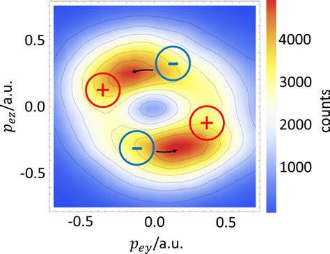 Electron Momentum Distribution In The Polarization Plane P Ey P Ez