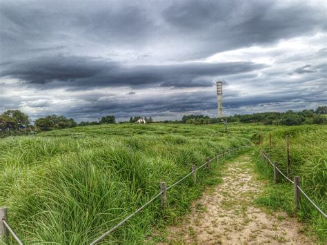 Free Images Landscape Horizon Marsh Cloud Farm Meadow Prairie