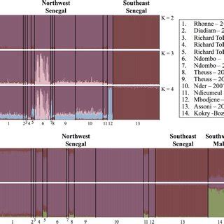 Bayesian Clustering Analysis With STRUCTURE Using Microsatellite