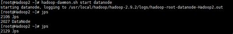hadoop报错 datanode denied communication with namenode because hostname