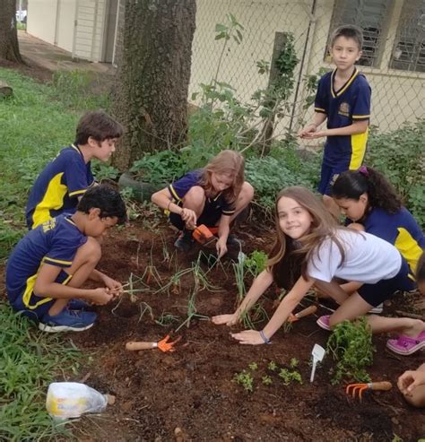 Mogi Mirimsp Projeto Horta E Jardim é Um Incentivo Ao