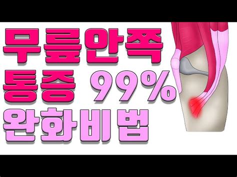 무릎안쪽내측통증 원인과 운동feat 거위발건염 통증완화 및 질병예방