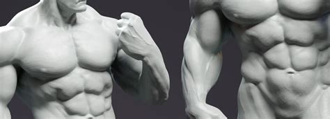 Introduction To Anatomy FlippedNormals