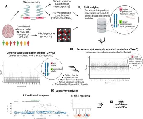 Integrating Human Endogenous Retroviruses Into Transcriptome Wide