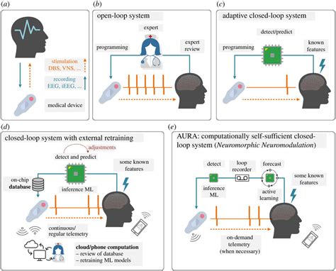 Weak Self Supervised Learning For Seizure Forecasting A Feasibility Study Royal Society Open