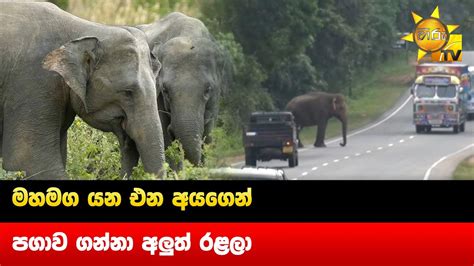 මහමග යන එන අයගෙන් පගාව ගන්නා අලුත් රළලා Hiru News Youtube