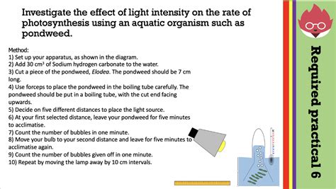 Aqa Gcse Biology Photosynthesis Teaching Resources