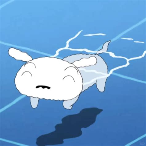 野原小白《蜡笔小新》小白头像