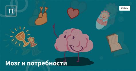 Мозг и потребности – курс на ПостНауке