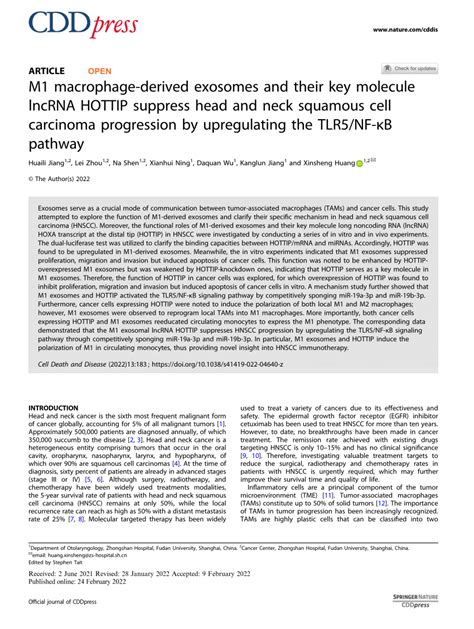 Pdf M1 Macrophage Derived Exosomes And Their Key Molecule Lncrna