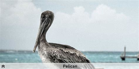 11 CSS Filter Tutorials Examples IDevie