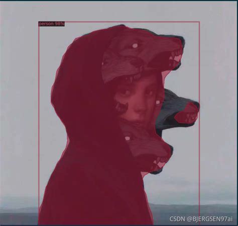 Linux：detectron2环境配置并测试如何测试detectron2是否配置成功 Csdn博客