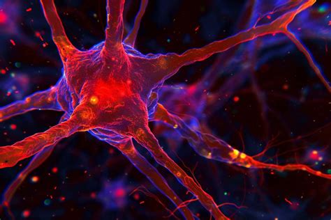 Astrocytes Play Essential Position In Psychological Well Being Ai
