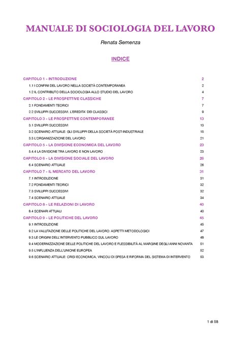Manuale Di Sociologia Del Lavoro Renata Semenza Sintesi Del Corso