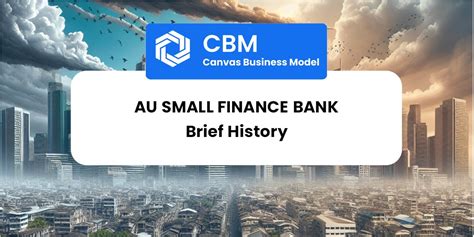 A Brief History Of Au Small Finance Bank Cbm