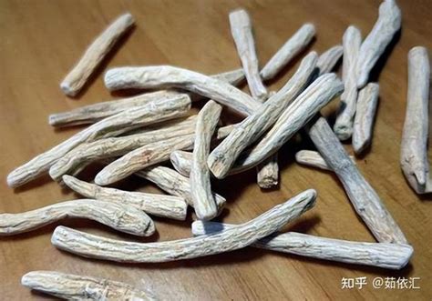 西洋参怎么泡，喝起来更健康？服用西洋参的3点注意事项 知乎