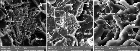 Sem Micrographs Static Tensile Test Of Composite Materials A