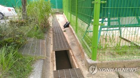 콘크리트 수로에 멸종위기종 맹꽁이 집단 서식