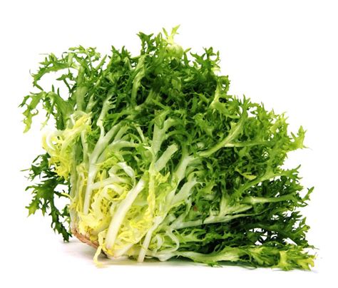 What Are The Different Types Of Lettuce Salad With Pictures