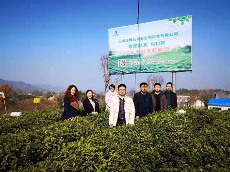 信阳毛尖 上海绿缘三元素生物科技有限公司