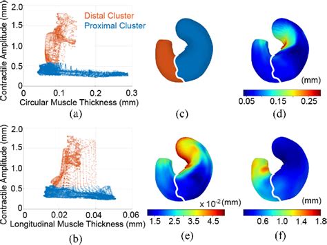 Figure 1 From Diffeomorphic Surface Modeling For Mri Based Characterization Of Gastric Anatomy