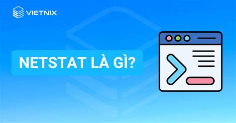 Netstat Là Gì Hướng Dẫn Sử Dụng Lệnh Netstat Chi Tiết 2025