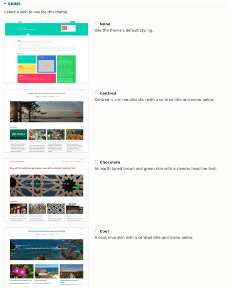 Skins Drupal Org