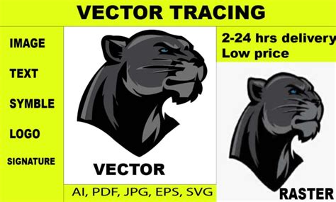 do vector tracing convert raster to vector by shumailas598 fiverr