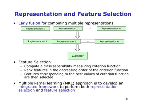 Multiple Kernel Learning Based Approach To Representation And Feature Selection For Image