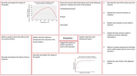 Enzymes Revision Mat Teaching Resources