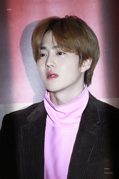 Pin Oleh Pcy Love S Meh Di Exo Selebritas