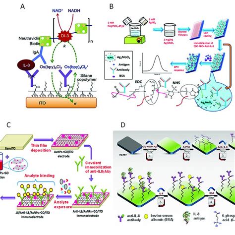 Schematic Illustrations Of Some Electrochemical Immunosensors For The